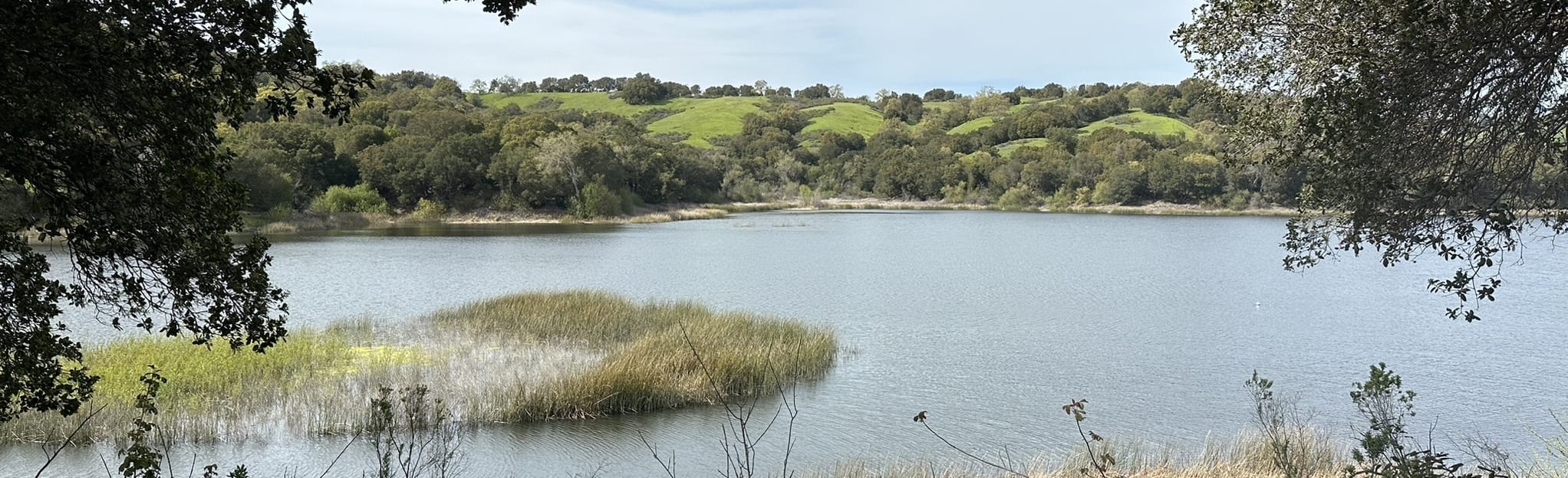 Lafayette Reservoir Loop , California - 3,228 Reviews, Map | AllTrails