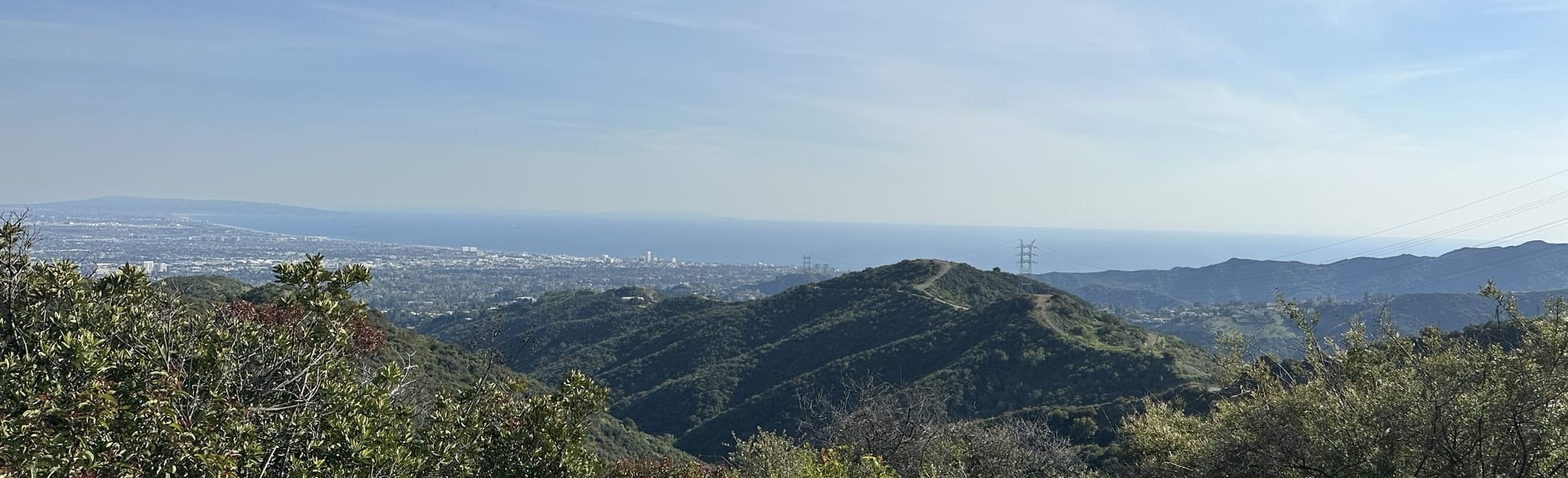 Tiger Tail Trail: 498 Reviews, Map - California | AllTrails