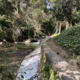 Old Cañon Trail and Sausal Creek Loop, California - 545 Reviews, Map ...