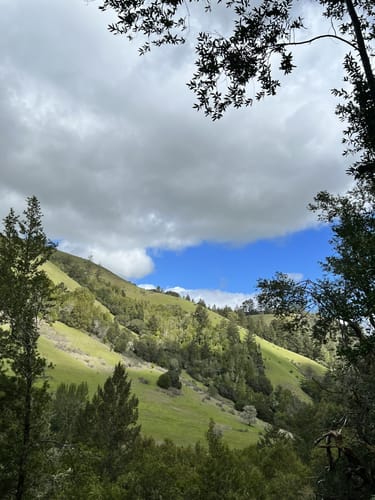 Best 10 Hikes and Trails in Samuel P. Taylor State Park | AllTrails