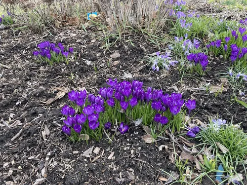 Best Hikes and Trails in Tuley (Murray) Park | AllTrails