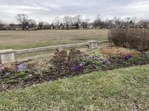 Best Hikes and Trails in Tuley (Murray) Park | AllTrails