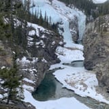Cline River Trail, Alberta, Canada - 383 Reviews, Map | AllTrails