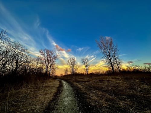 Best Hikes and Trails in Grobschmidt Park | AllTrails