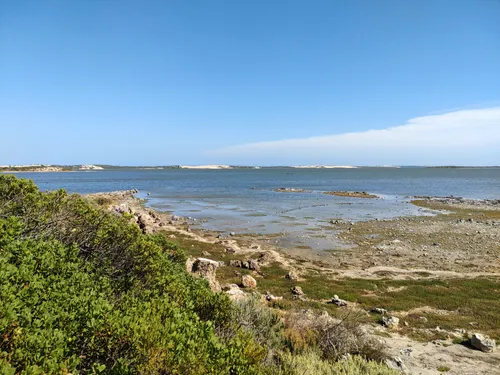 Best Bird Watching Trails in Coorong National Park | AllTrails