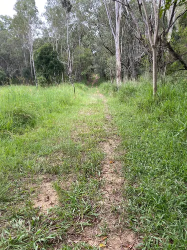 2023 Best Wild Flowers Trails in Kobble Creek | AllTrails