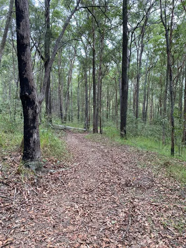 2023 Best Mountain Biking Trails in Kobble Creek | AllTrails