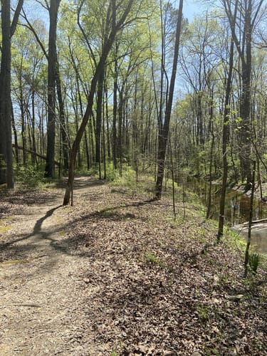 Best Hikes and Trails in Richfield Park | AllTrails