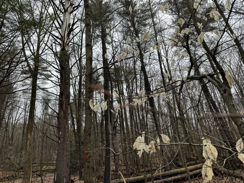 Best Hikes and Trails in Up Yonda Farm | AllTrails