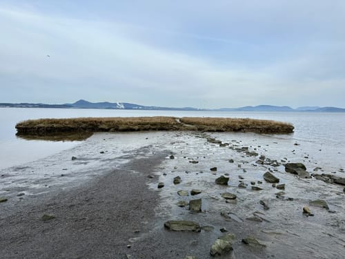 Best Hikes and Trails in Padilla Bay National Estuarine Research ...