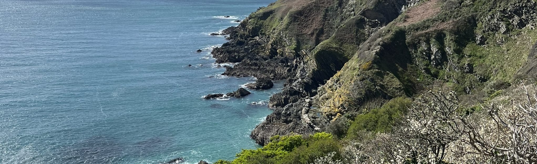 Chapel Cliff Walk, Cornwall, England - 26 Reviews, Map | AllTrails
