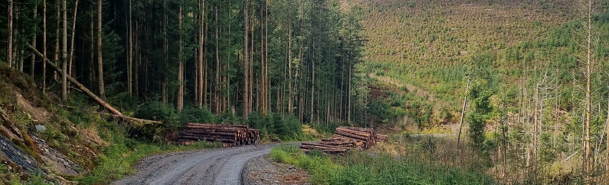 Nant Ystrad-y-groes Circular, Gwynedd, Wales - 13 Reviews, Map | AllTrails
