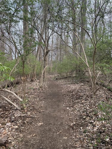 Best Hikes and Trails in Okehocking Preserve | AllTrails