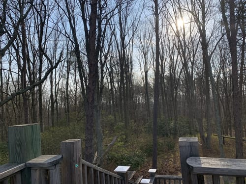 Best Hikes and Trails in Elk Neck State Forest | AllTrails