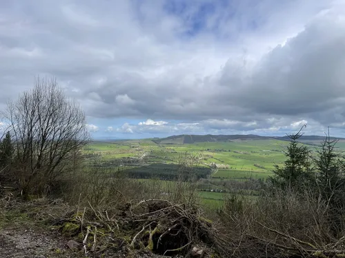 2023 Best 10 Walking Trails in County Limerick | AllTrails