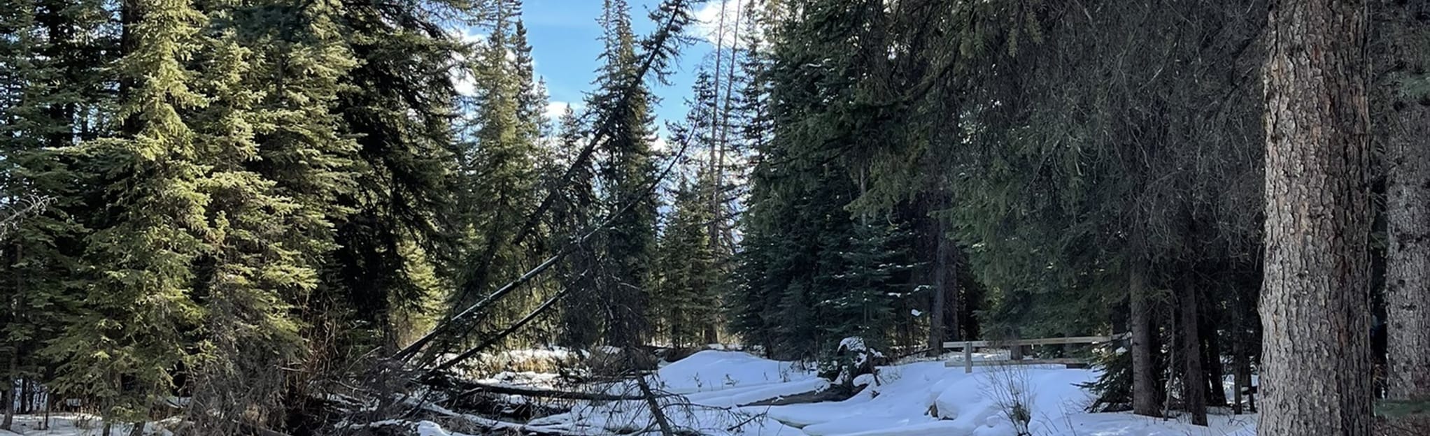 Fenland Trail: 629 Reviews, Map - Alberta, Canada | AllTrails