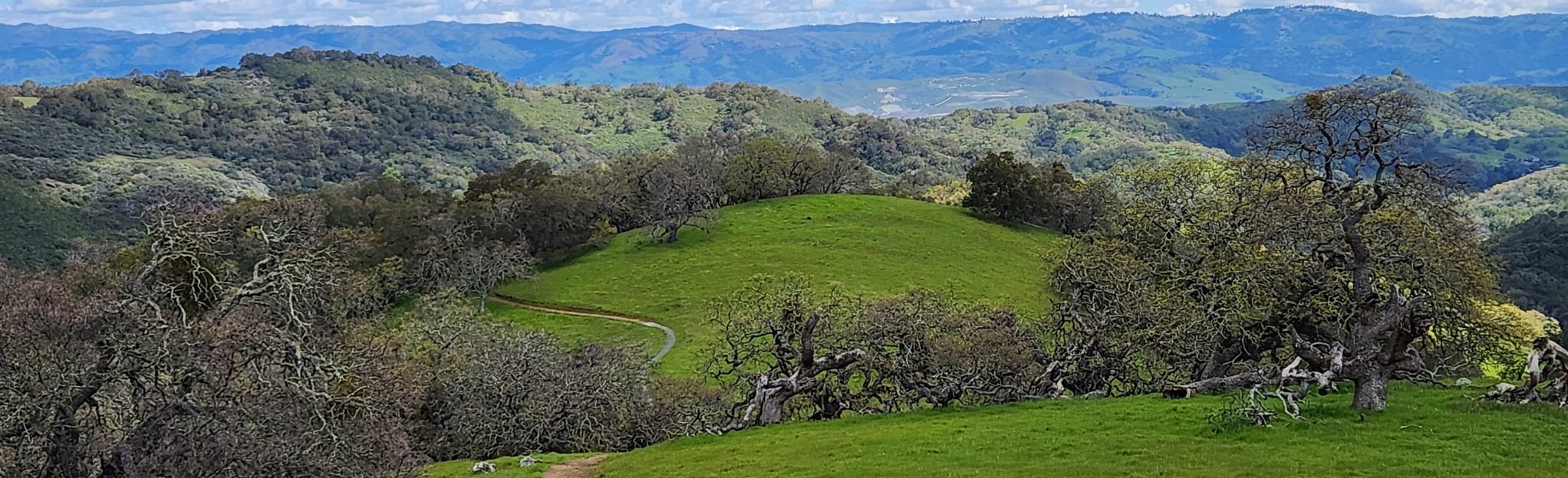Mayfair Ranch Trail to Serpentine Loop Trail, California - 588 Reviews ...