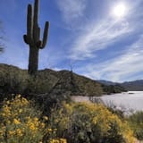 Bartlett Reservoir Trail , Arizona - 263 Reviews, Map | AllTrails