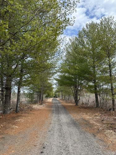 Best 10 Hikes and Trails in Douglas State Forest | AllTrails