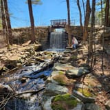 Douglas Forest Wallis Pond Loop Trail, Massachusetts - 899 Reviews, Map ...