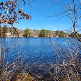 Douglas Forest Wallis Pond Loop Trail, Massachusetts - 899 Reviews, Map ...