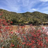 Bartlett Reservoir Trail , Arizona - 263 Reviews, Map | AllTrails