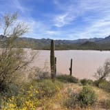 Bartlett Reservoir Trail , Arizona - 263 Reviews, Map | AllTrails