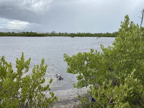 Best Hikes and Trails in Bahía de Jobos National Reserve | AllTrails