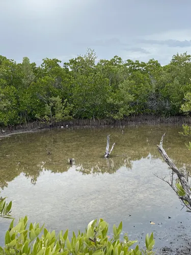Best Hikes and Trails in Bahía de Jobos National Reserve | AllTrails