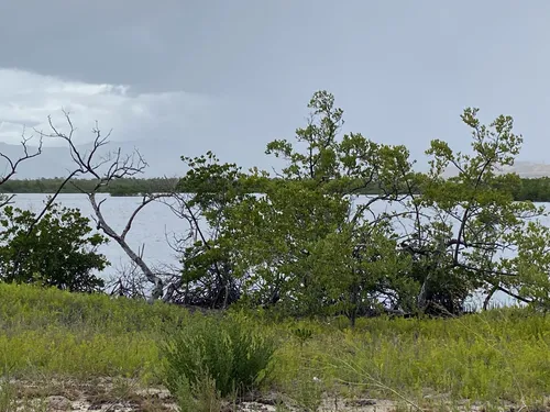Best Hikes and Trails in Bahía de Jobos National Reserve | AllTrails