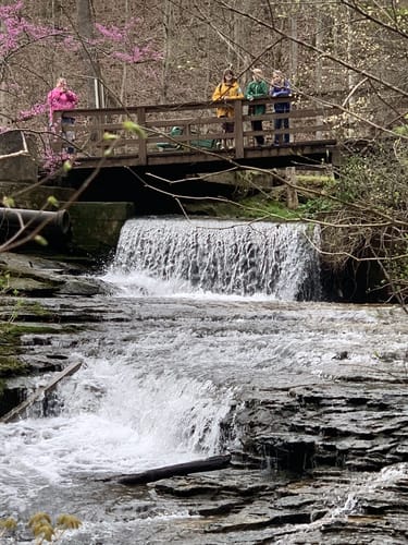 Best Hikes and Trails in Saunders Springs Nature Preserve | AllTrails