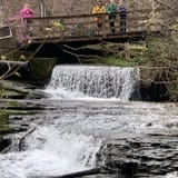 Saunders Springs Reservoir Loop, Kentucky - 113 Reviews, Map | AllTrails
