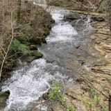Saunders Springs Reservoir Loop, Kentucky - 113 Reviews, Map | AllTrails