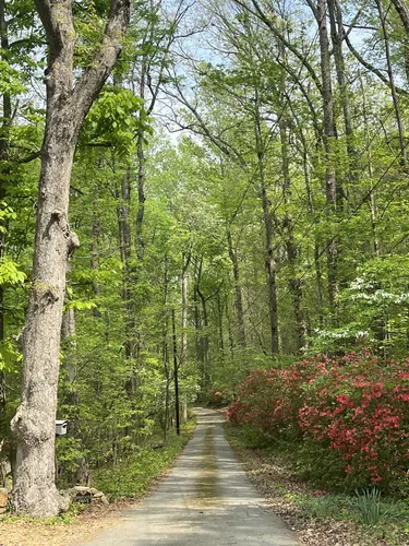 2023 Best Historic Site Trails in Chapel Hill | AllTrails 2023 Best Historic Site Trails in Chapel Hill | AllTrails