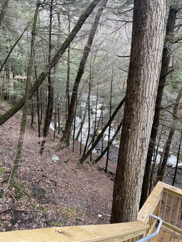 2023 Best trails in Plotter Kill Nature Preserve | AllTrails