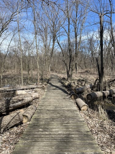 Best Hikes and Trails in Sand Ridge Nature Preserve | AllTrails
