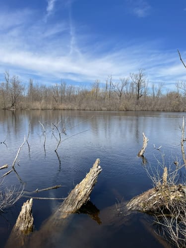 Best Hikes and Trails in Sand Ridge Nature Preserve | AllTrails