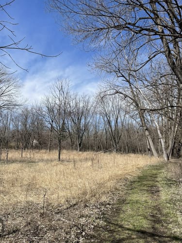 Best Hikes and Trails in Sand Ridge Nature Preserve | AllTrails