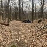 Tarrywile Park Trail, Connecticut - 619 Reviews, Map | AllTrails