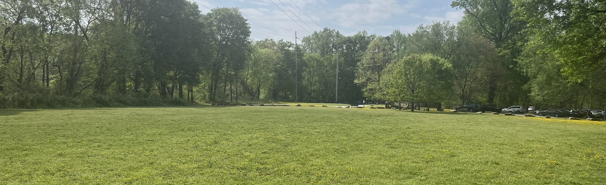 Bob Callan Trail: 796 Reviews, Map - Georgia | AllTrails