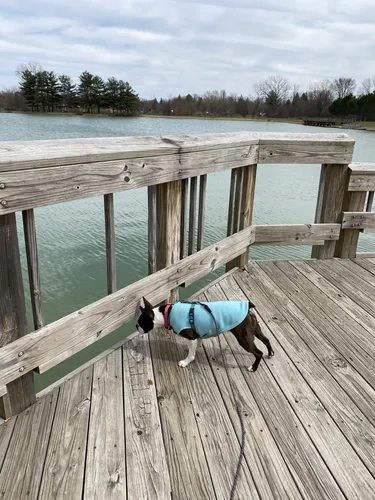 Best Hikes and Trails in Kelly Lake Park | AllTrails