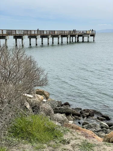 Best Hikes and Trails in Candlestick Point State Recreation Area ...