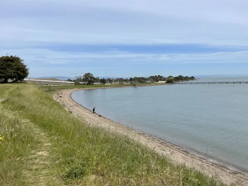 Best Hikes and Trails in Candlestick Point State Recreation Area ...