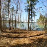 Bartram Trail: West Dam Recreation Area to Washington Road, South ...