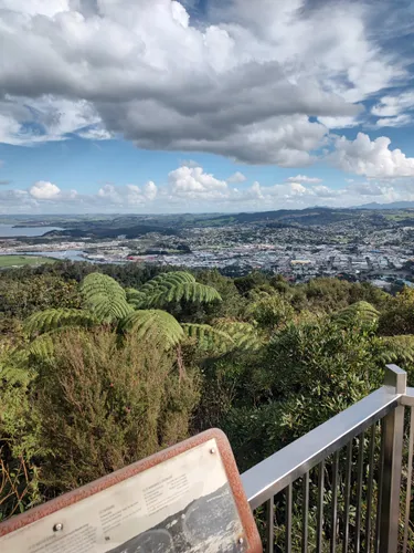 Melhores caminhadas e trilhas em Mount Parihaka Scenic Reserve | AllTrails