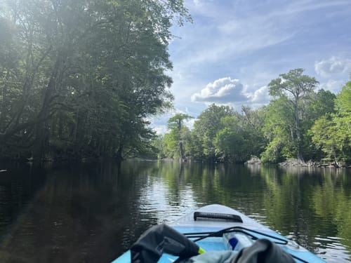 2023 Best trails in River Rise Preserve State Park | AllTrails