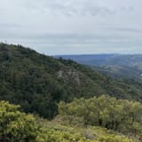 Verna Dunshee Loop, California - 266 Reviews, Map | AllTrails