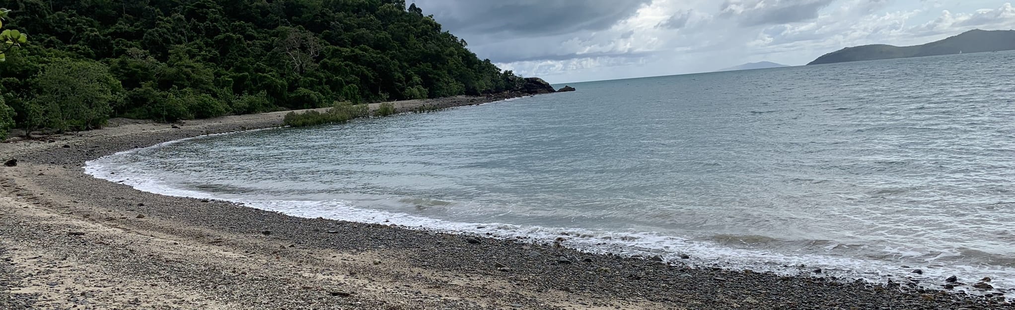 Swamp Bay Track, Queensland, Australia - 19 Reviews, Map | AllTrails