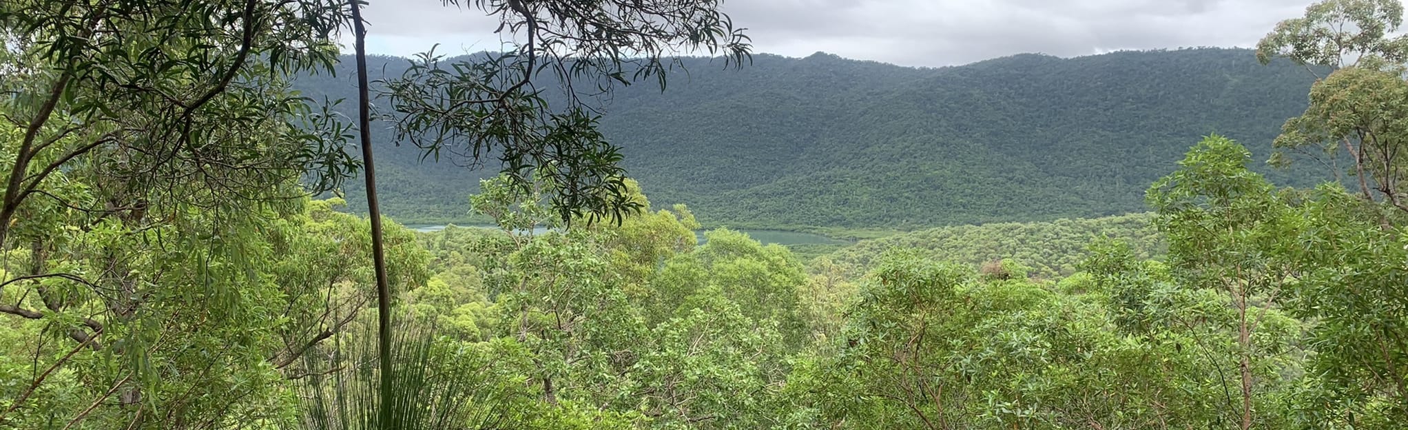Mount Rooper and Swamp Bay Loop: 273 foto's - Queensland, Australië ...