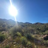 Dixie Mine Trail, Arizona - 154 Reviews, Map | AllTrails